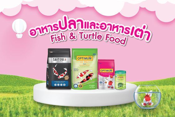 อาหารปลาและอาหารเต่า